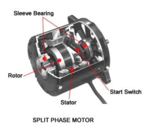 Types of Single Phase Induction Motors | Wiring Diagram